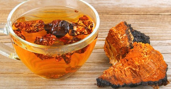 5 verbazingwekkende voordelen van de Chaga paddenstoel - Superfood ...